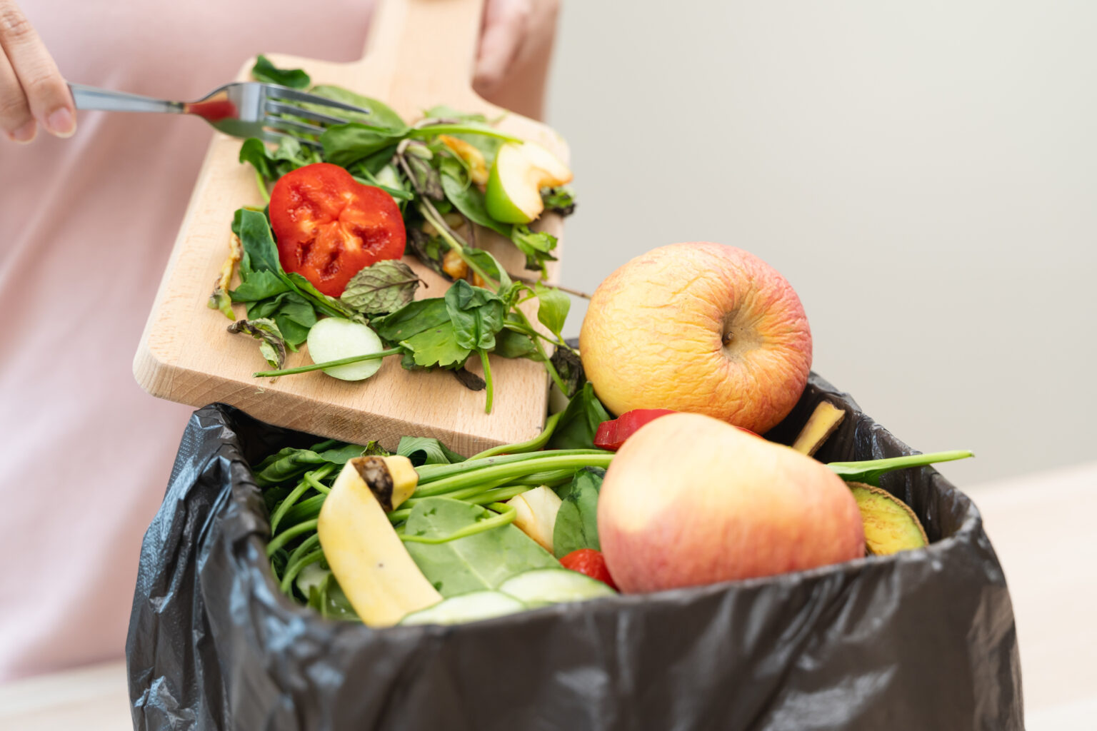 Next autumn for food waste bins - The Voice