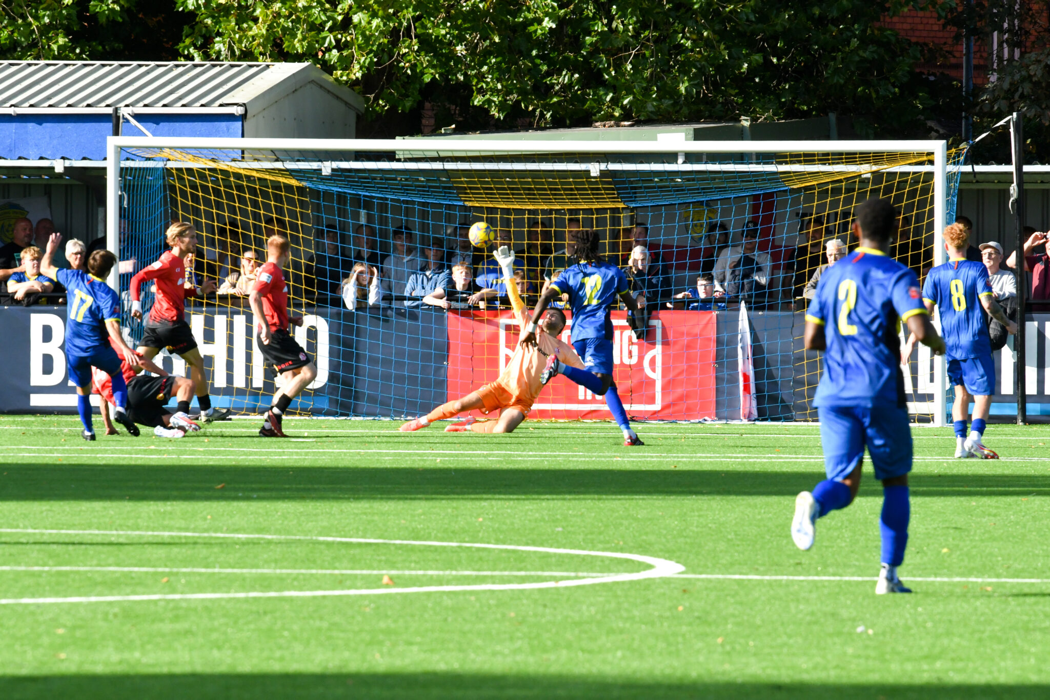 Tulips enjoying start to life at Sir Halley after £1m revamp - The Voice