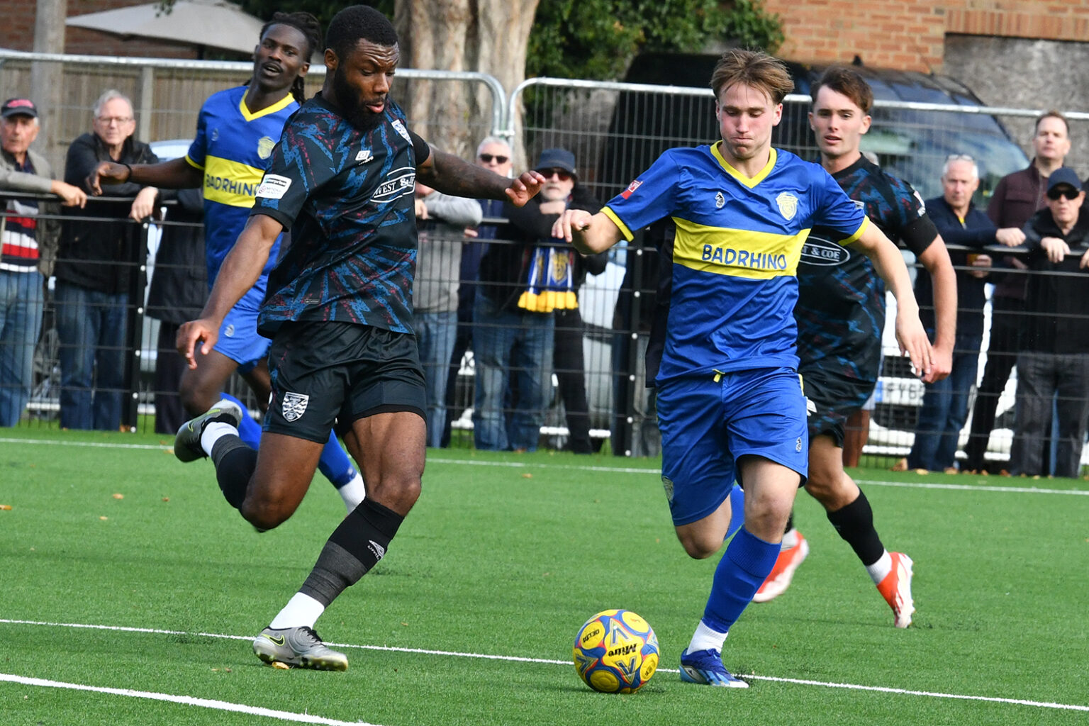 Tulips strikeforce to face solid Shields - The Voice