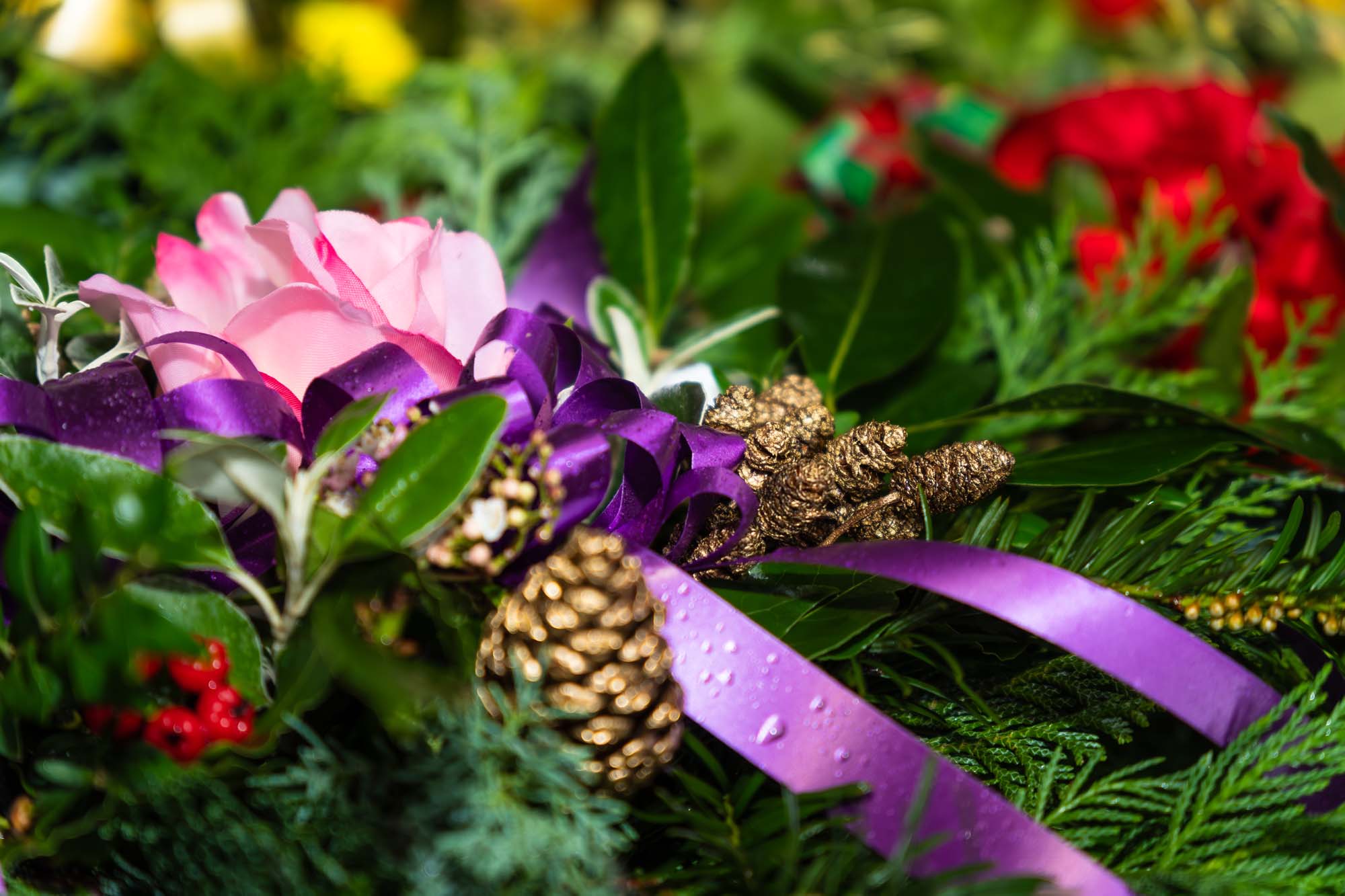 GALLERY – Rain didn’t stop play in Holbeach - The Voice